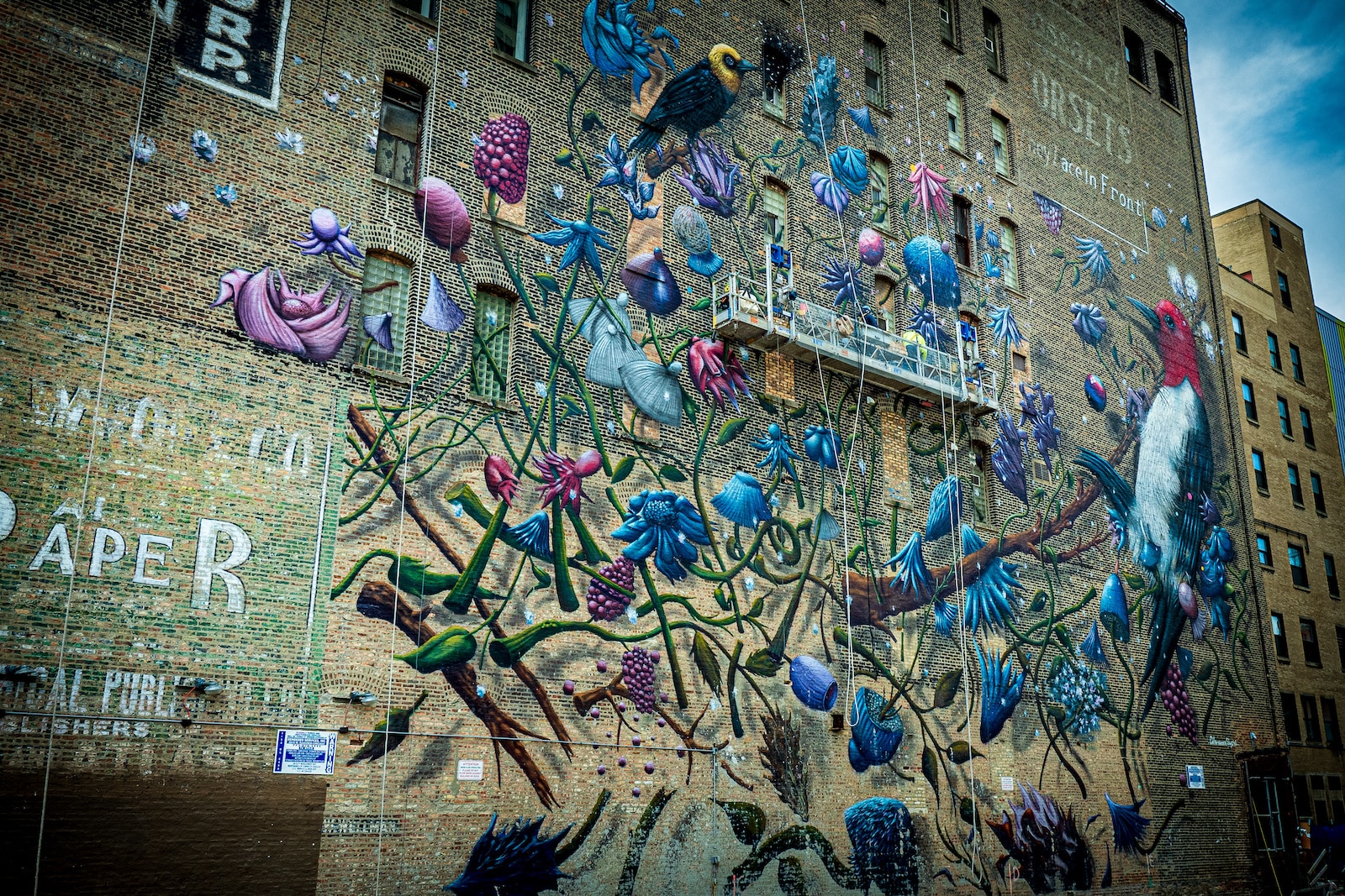 Exploring the Best Chicago Street Art
